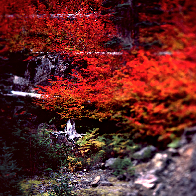 Snoqualmie Pass, Snoqualmie | Brent Osborne Photography